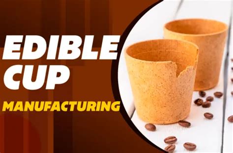 Webinar On Edible Cup Manufacturing Business Foodtechnetwork