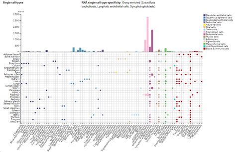 组织因子途径抑制剂tfpi