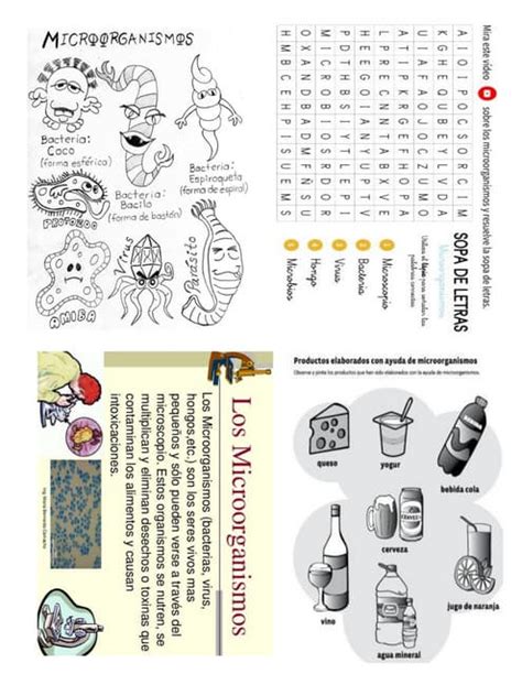 La Carta Pdf