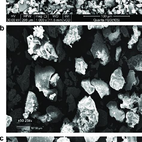 A Sem Morphology Of Pyridoxine Hcl Vit B6 B Sem Morphology Of Download Scientific