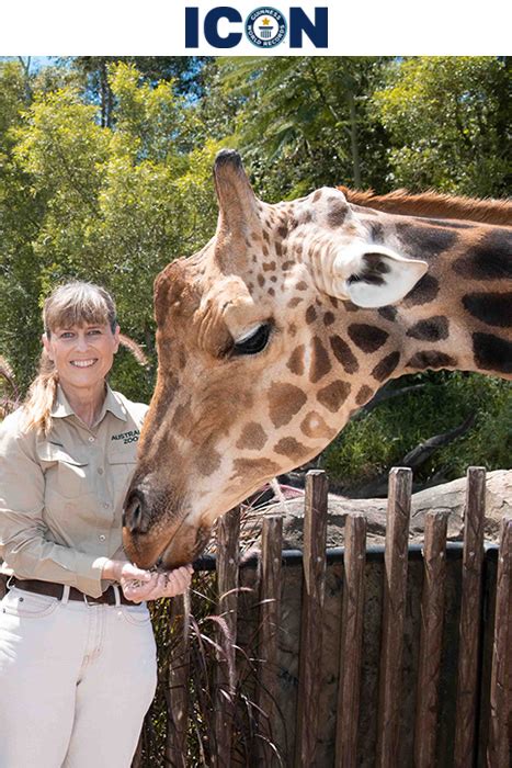 Forest The Tallest Giraffe Guinness World Records
