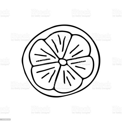 벡터에 레몬 그림을 슬라이스 낙서 벡터에 손으로 그린 레몬 그림 레몬 손으로 그린 일러스트를 잘라 벡터의 낙서 레몬 아이콘 감귤류 과일에 대한 스톡 벡터 아트 및 기타