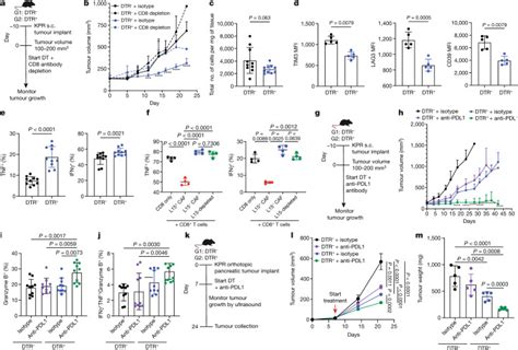 Lrrc15 Myofibroblasts Dictate The Stromal Setpoint To Suppress Tumour Immunity Pmc