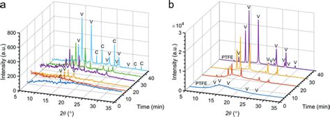 Time Resolved Diffraction Patterns Revealing Scale Build Up At The