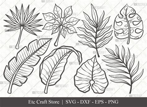 Tropical Leaf Outline Svg Cut Files Tropical Leaves Svg Monstera