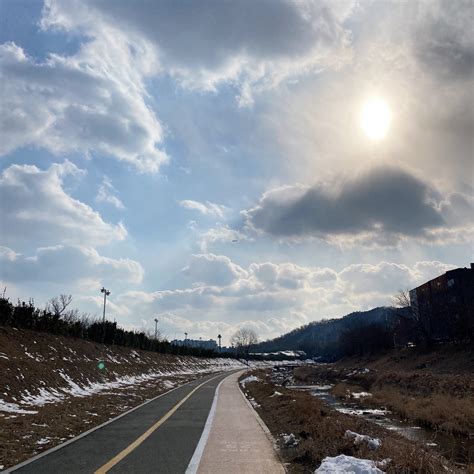 공기정화식물 50가지 총정리 실내 공기를 맑게 하는 최고의 식물 추천