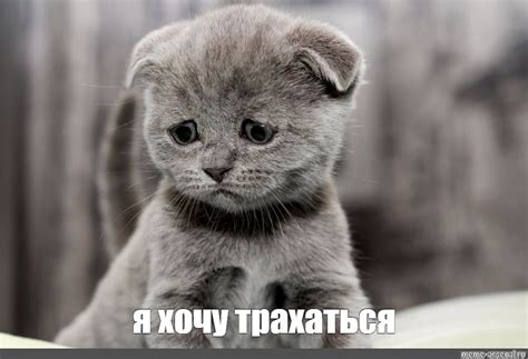 Мем я хочу трахаться Все шаблоны Meme