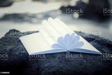 바다 바위에 꽃 모양 장식에 접힌 흰색 빈 종이 책 페이지 새로운 놀라운 삶의 장 개념 새생명에 대한 스톡 사진 및 기타 이미지 새생명 0명 공란 Istock