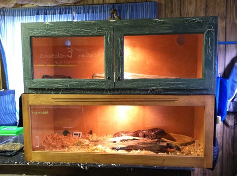 Building A Burmese Python Enclosure