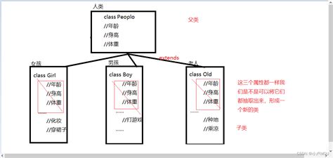 2 3面向对象 继承 方法的重写 继承重写 csdn博客