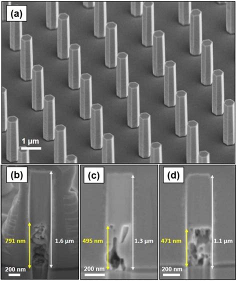 A Tilted Sem Image Of Inn Nanorods Grown On Ga Polar Ganc Al2o3