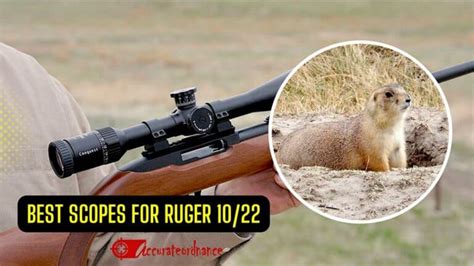 {top 5} Best Scope For Ruger 10 22 Reviews 2023 Updated