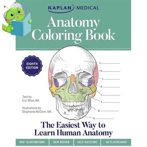believe you can anatomy coloring book the easyest way to learn human anatomy 8th ed