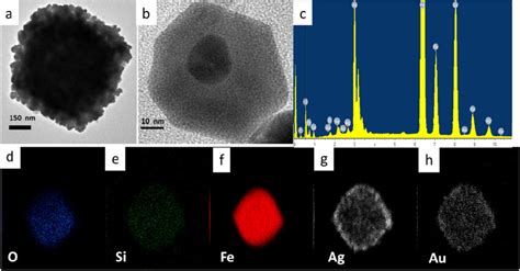 A And B TEM Images Of The Fe O SiO Au Ag And Au Ag C EDS Data Download Scientific