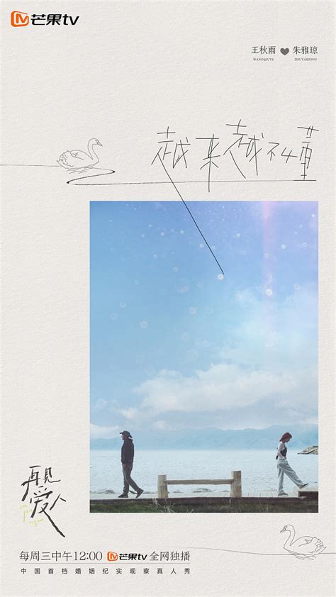 综艺再见爱人 嘉宾海报