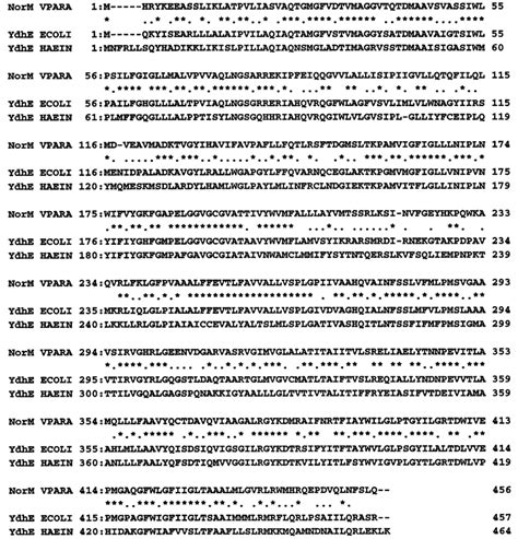 Amino Acid Sequence Alignment The Deduced Amino Acid Sequence Of V