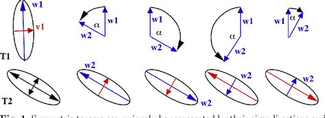 figure 3 from tensor field reconstruction based on eigenvector and