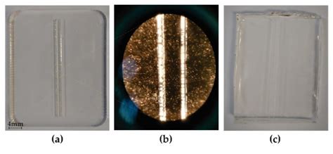 Figure 2 From A Novel Pdms Based Microfeature Size Fabrication Method For Biocompatible And