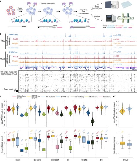 Joint Profiling Of Chromatin Accessibility And Gene Expression Using Download Scientific