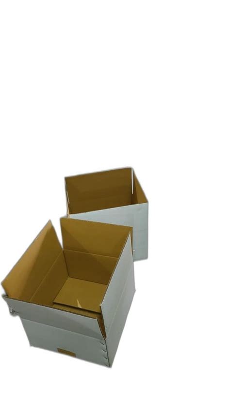 Plastic Outer Box At Rs 49box In Rajkot Id 2850084638233