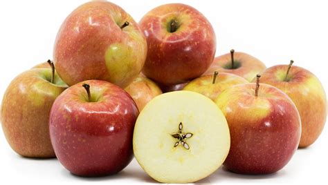 Fuji Apple With Cardamom Gammas Dutch Apple Cake With Vanilla And