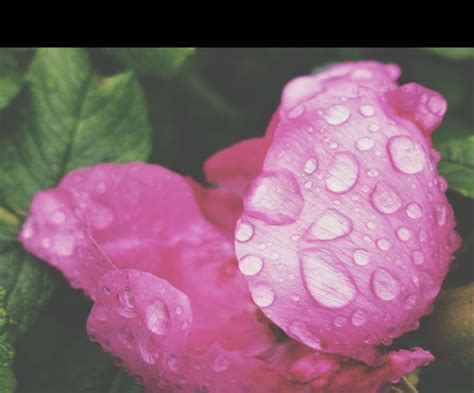 A Look At Acog Vbac Guidance For Obstetric Patients The Obg Project