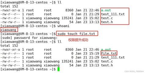 Linux系统中sudo命令的作用与使用指南：提升权限与安全保障 Linux命令大全手册