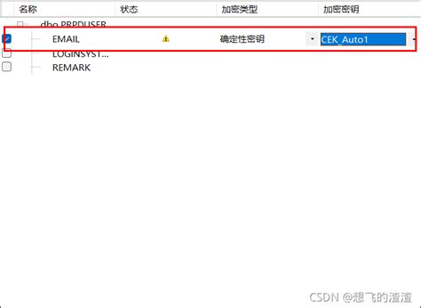 Sqlserver加密隐私字段（不侵入程序） Always Encryptedsqlserver Encrypt Csdn博客