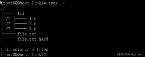 Linux系统调用六、stat函数与 Struct Stat 文件信息结构体深度刨析（一） 阿里云开发者社区