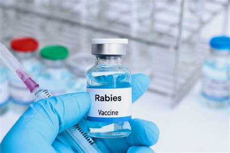 Immunoglobulin Rabies Vaccine The Complete Faq Guide In 2025 Aipak