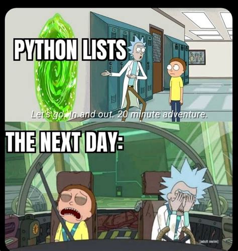 me as an amateur python coder right now experimenting with lists r programmerhumor