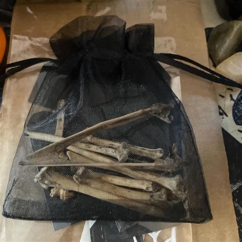 Ten Carrion Crow Spine Bones For Jewellery Crafts Etsy
