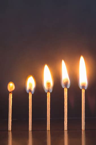 재무 계획 금융 성장 개념입니다 상승 경향 그래프의 형태로 레코딩 선수 대표 좋은 반환 아이디어 개념에 대한 스톡 사진 및 기타 이미지 Istock