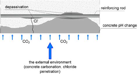 Reinforcement Corrosion In Concrete [authors] Download Scientific Diagram