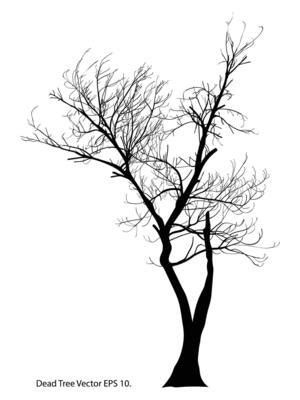Tree No Leaves Vector Art Icons And Graphics For Free Download