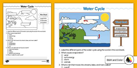Second Grade Water Cycle Quiz Hecho Por Educadores
