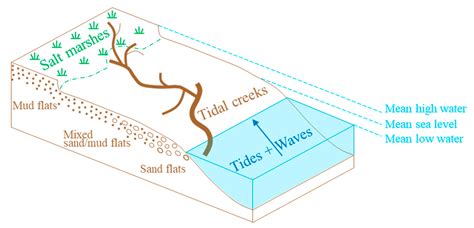Sediment Characteristics And Intertidal Beach Slopes Along The Jiangsu