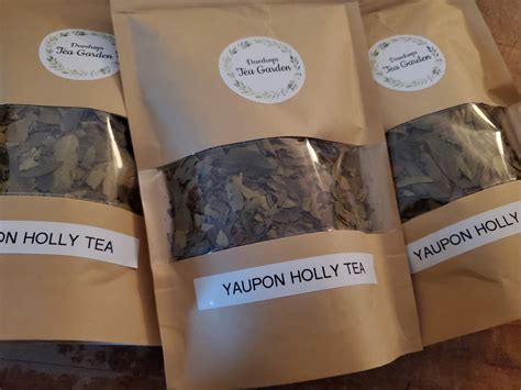 Yaupon Holly Tea Etsy