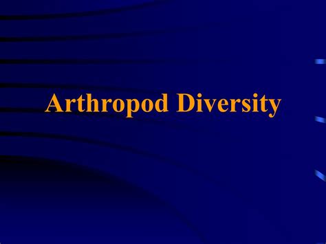 Ppt Phylum Arthropoda Powerpoint Presentation Free Download Id9093605