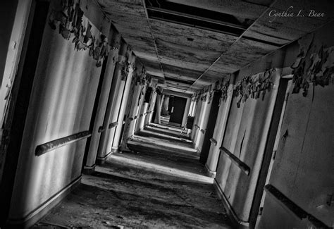 Cindy Cupcake Photography