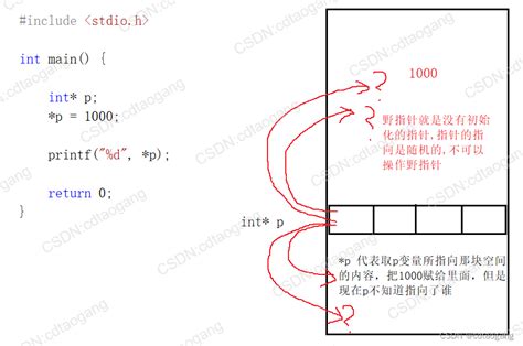 C语言学习之路（基础篇）—— 指针（上） 指针的步长 Csdn博客