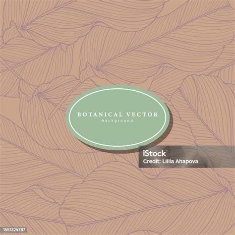 베이지색 사각형 열대 배경에 바나나 잎이 있다 텍스트 사진 졸업장 엽서 및 프레젠테이션의 배경 아이콘에 대한 스톡 벡터 아트 및 기타 이미지 Istock