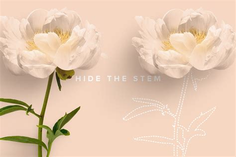Flower Stem Custom Scene