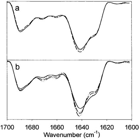 Inverted Second Derivative Ir Absorbance Spectra With Curve Fit