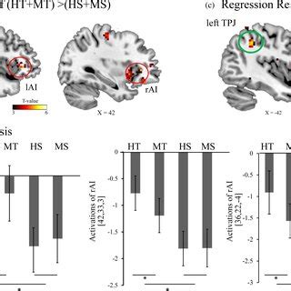 General Linear Model GLM Results A Brain Activation For The Download Scientific Diagram