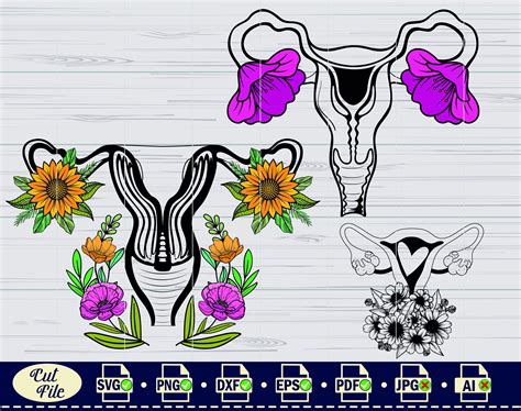 Uterus Svg Floral Uterus Svg Uterus Cut File Feminist Svg Etsy Hong Kong