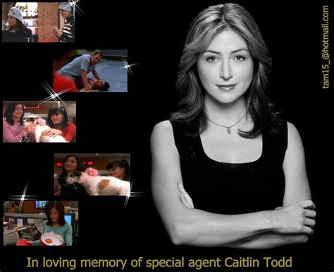 Caitlin Kate Todd Ncis Fan Art 5962964 Fanpop