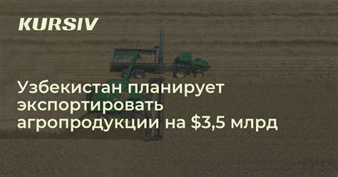 Сколько овощей и фруктов планирует экспортировать РУз