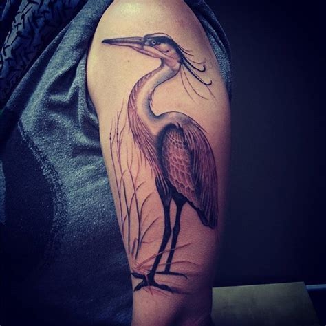 Nicolas Cain On Instagram Got A Quick Start On This Great Blue Heron