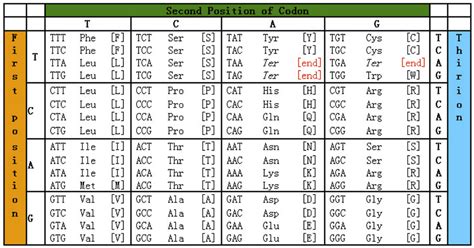 解读生命的密码—dna 哔哩哔哩